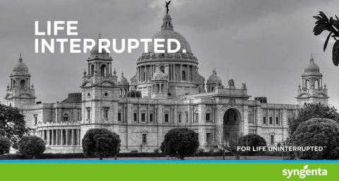 Life interrupted - slider | Syngenta