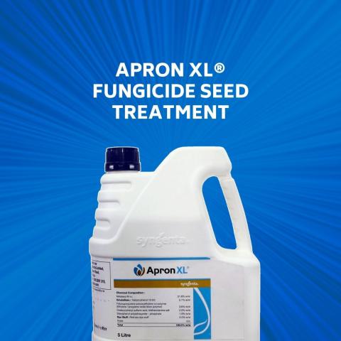 Apron XL fungicide seed treatment | Syngenta