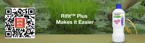 Rifit Plus | Syngenta