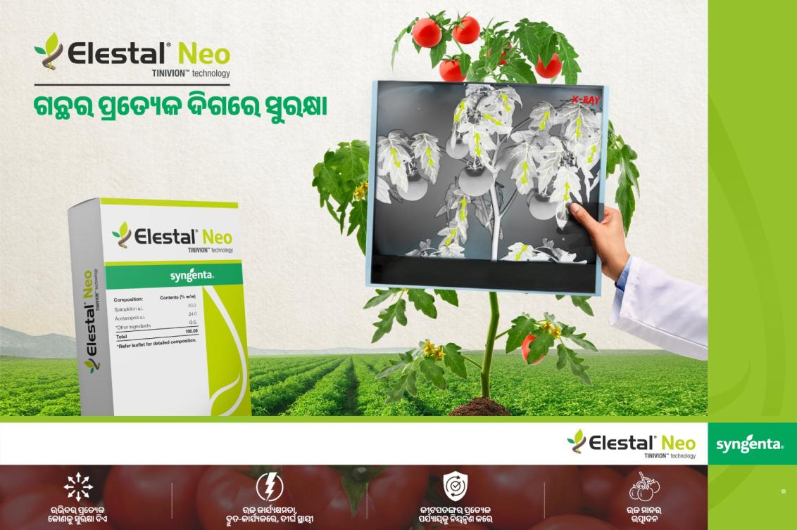 ଏଲେଷ୍ଟଲ୍ ନିଓ: ଗଛର ପ୍ରତ୍ୟେକ ଦିଗରେ ସୁରକ୍ଷା | Syngenta