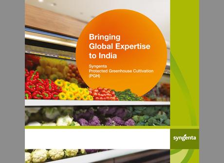 Vegetables | Syngenta
