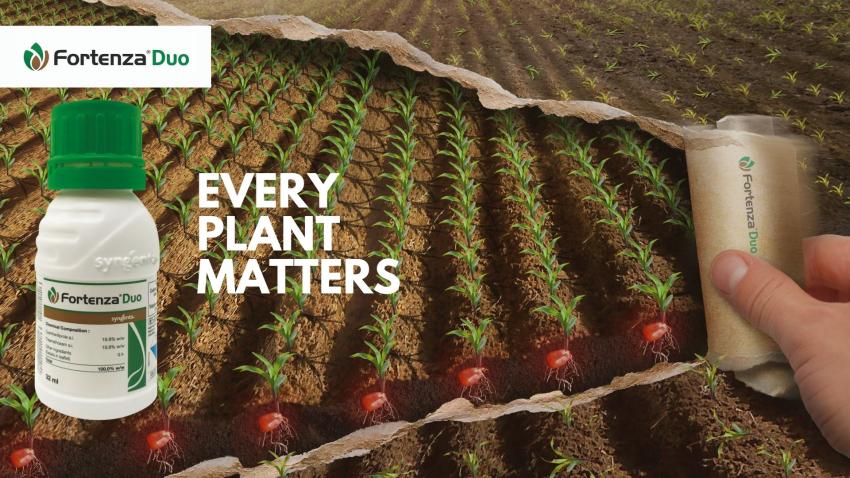 Fortenza Duo | Every plant matters | Syngenta