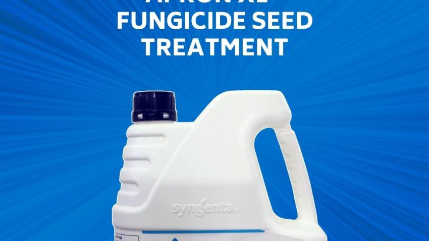 Apron XL fungicide seed treatment | Syngenta