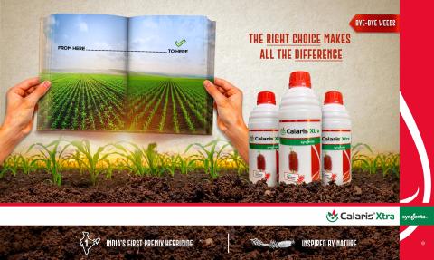 Calaris Xtra | Syngenta